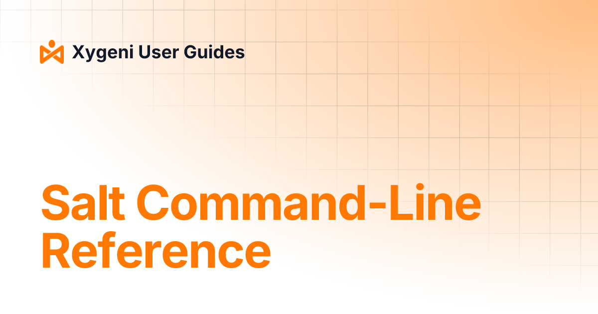 Salt Command-Line Reference | Xygeni User Guides